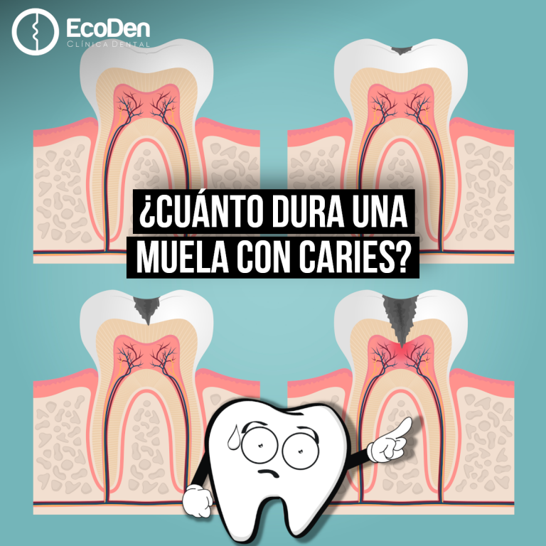 Horarios de atención